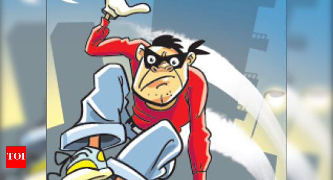 Now, daring thieves go for ‘lucrative’ cows; 5 missing | Madurai News ...