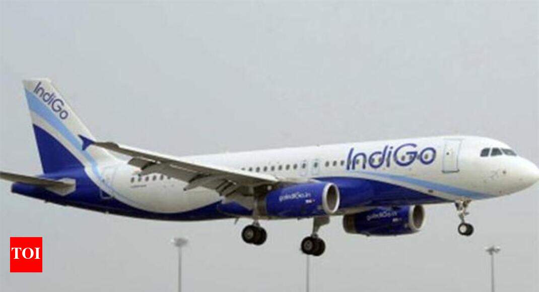 Indigo Airlines: IndiGo to operate daily flights from Vijayawada to ...