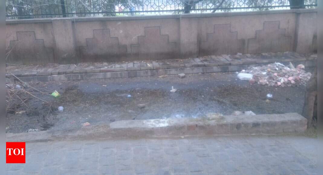 Open-air loo outside school - Times of India