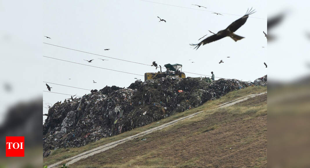 Garbage killed but lessons forgotten as no place for dumping | Delhi ...