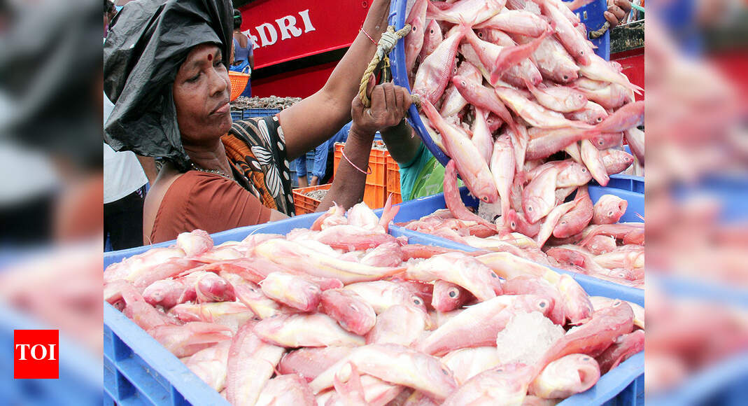 Fish vendors agree to new market complex | Goa News - Times of India