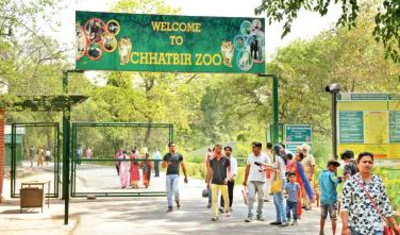 Chhatbir zoo attracts most number of visitors in 2017 | Chandigarh News ...