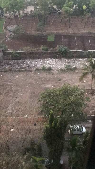 King of Garbage Filled Nallahs - Times of India