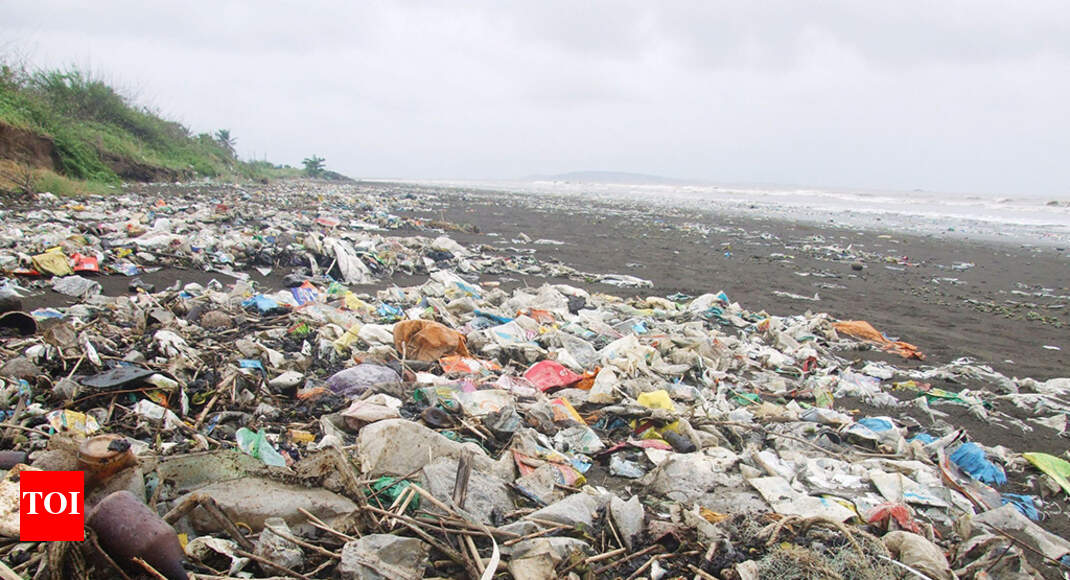 Shores dotted with garbage | Goa News - Times of India