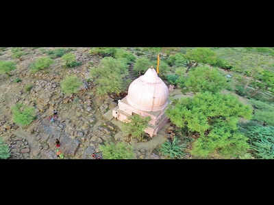 With ancient flora, UP plans to revive Govardhan Parvat | Lucknow News ...