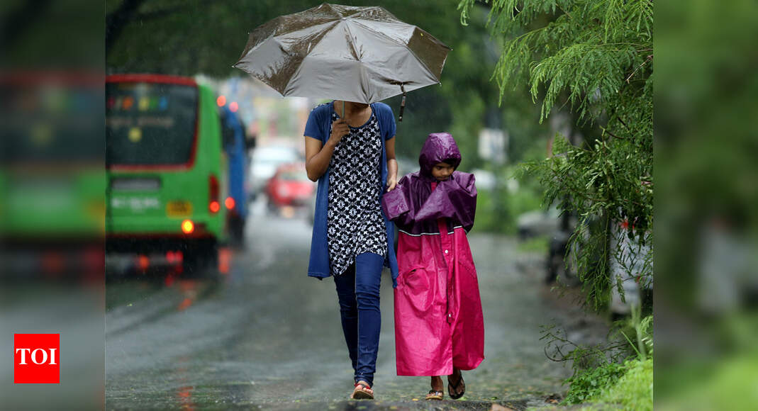 State received normal rainfall last year | Kochi News - Times of India