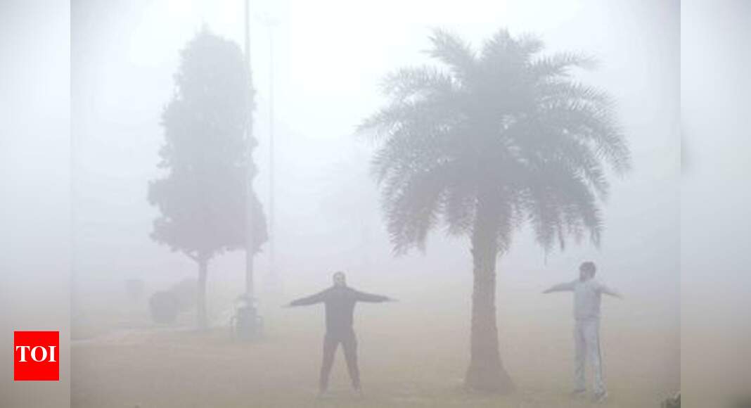 Strong winds make day seem colder | Lucknow News - Times of India