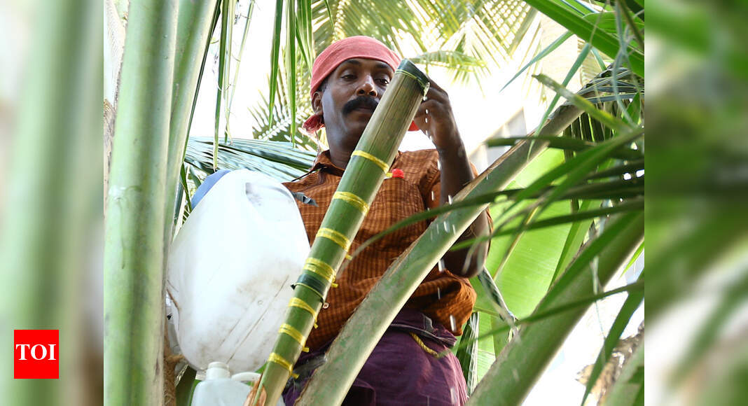 Neera Production Crisis: Neera, a sweetdream gone sour | Kochi News ...