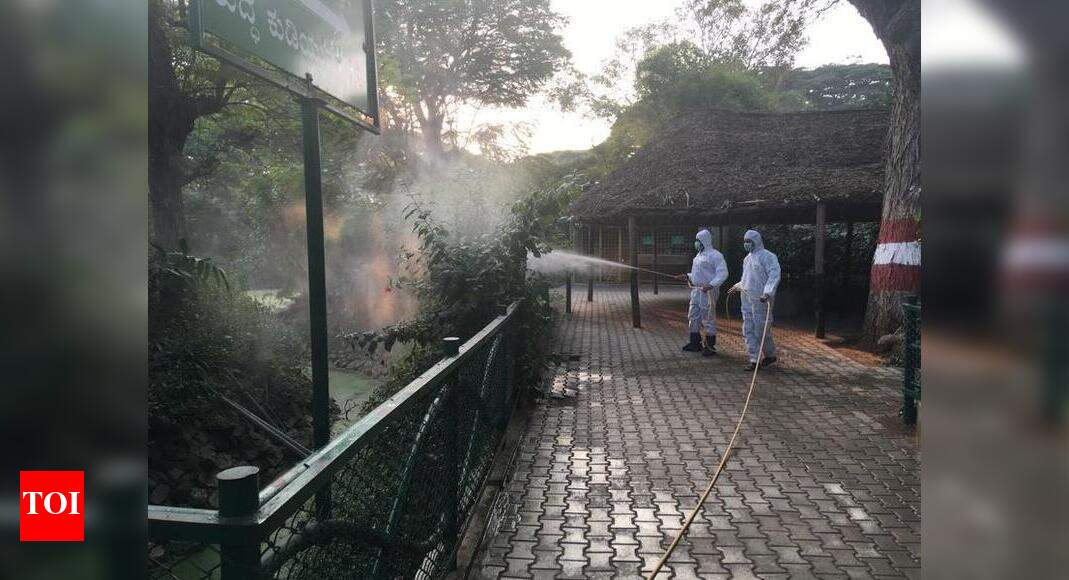 Bird flu scare: Zoo takes precautionary steps | Mysuru News - Times of ... Bird flu scare: Zoo takes precautionary steps | Mysuru News - Times of ...