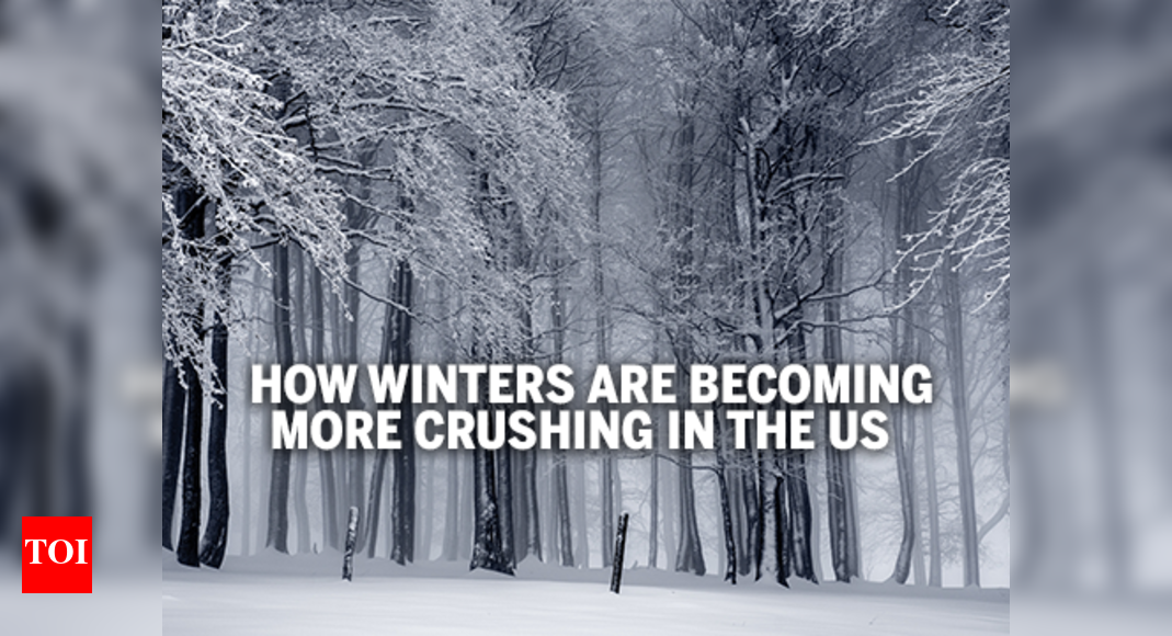 Infographic: Cold turns deadlier than heat in the US - Times of India