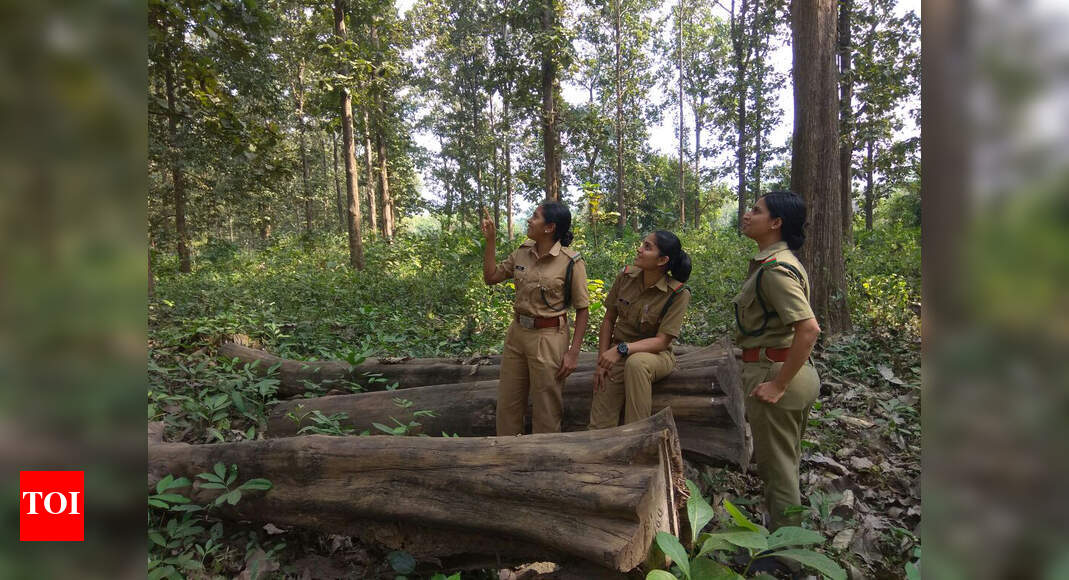 Kerala gets its first set of woman forest guards | Kochi News - Times ...