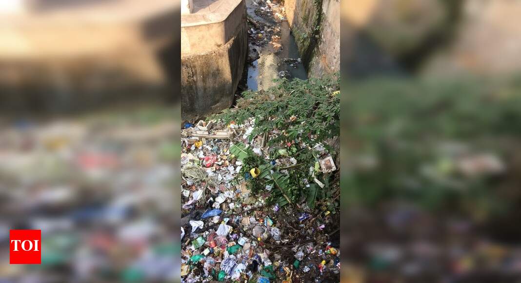 unhealthy and unhygienic environment - Times of India