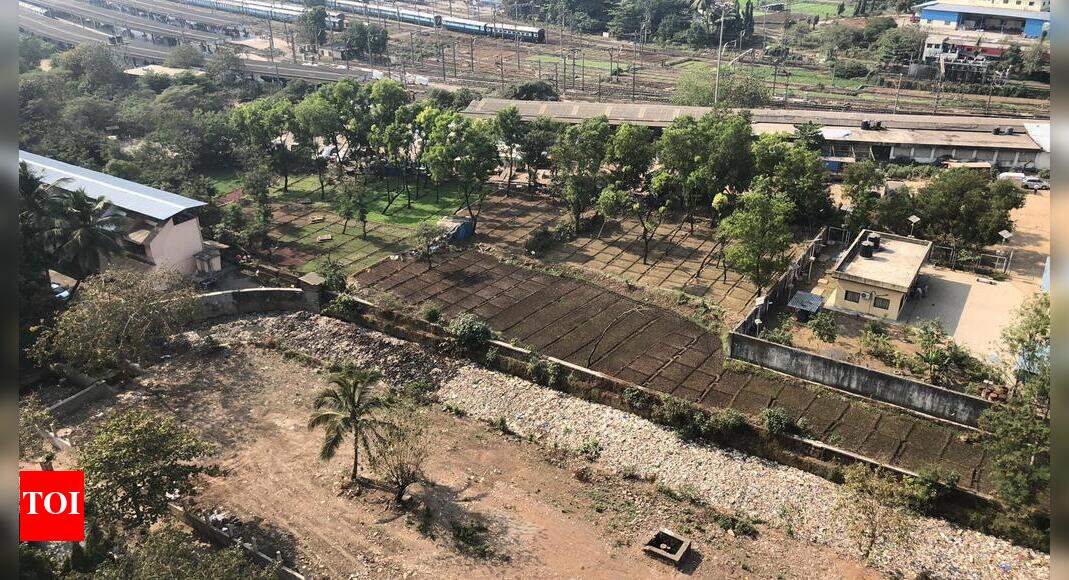 nallah choked - Times of India