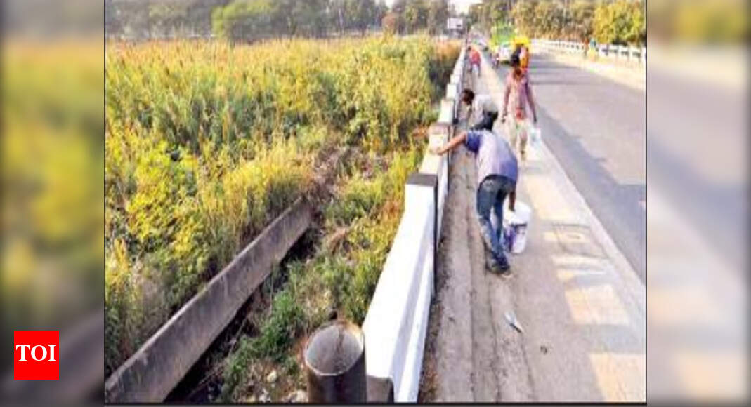 Stone pitching with wild growth chokes N-Choe | Chandigarh News - Times ...