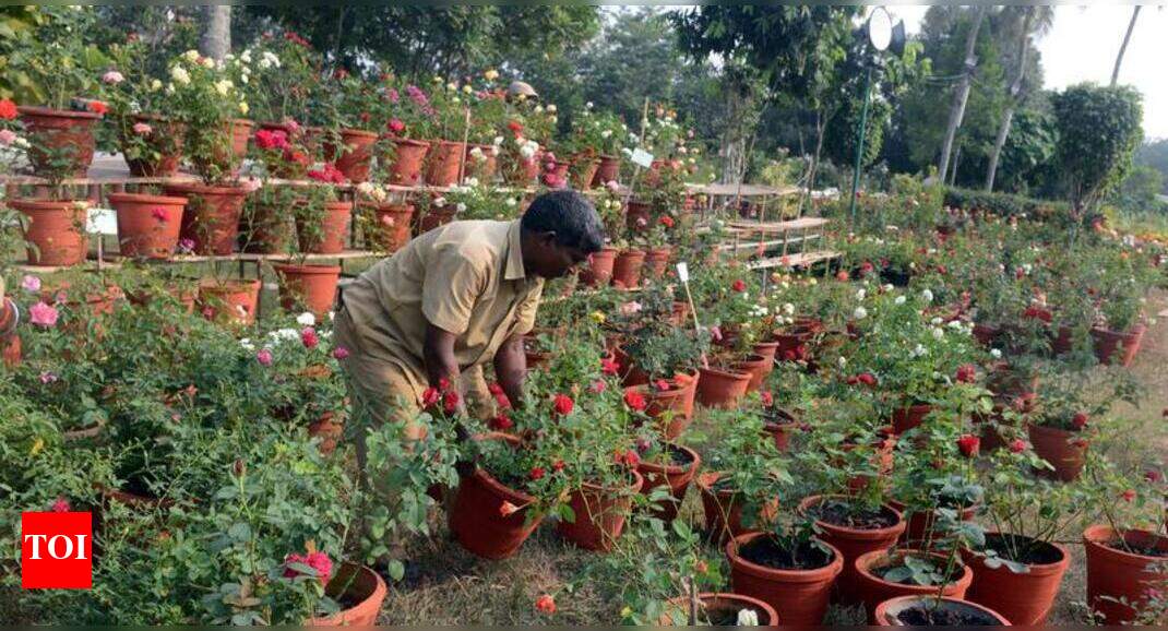 Each family should take up floriculture, says governor ...