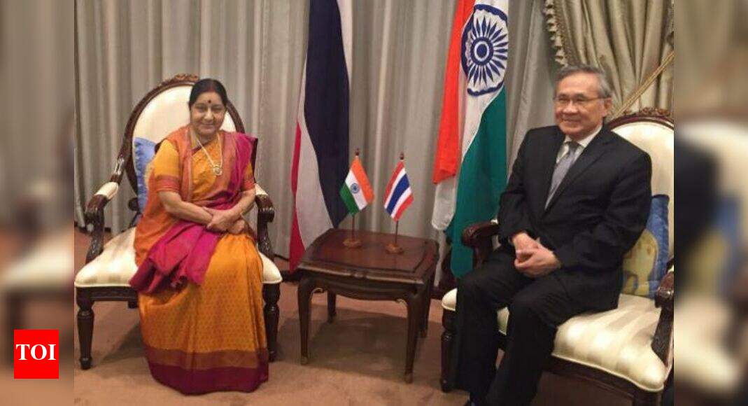 Swaraj concludes 'productive' three-nation visit | India News - Times ...
