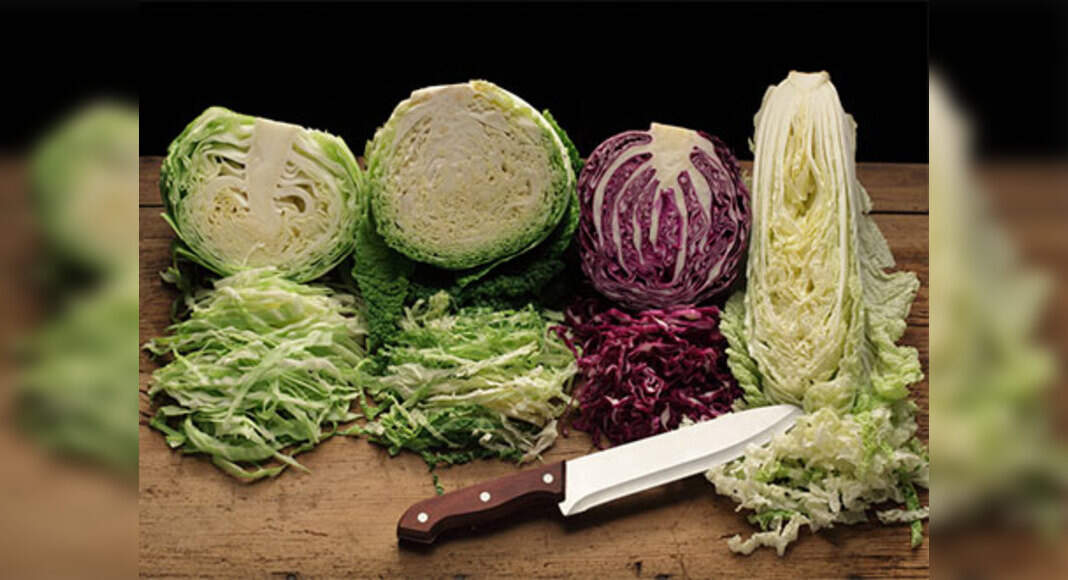 10 Best Cabbage Recipes: Easy Cabbage recipes at home