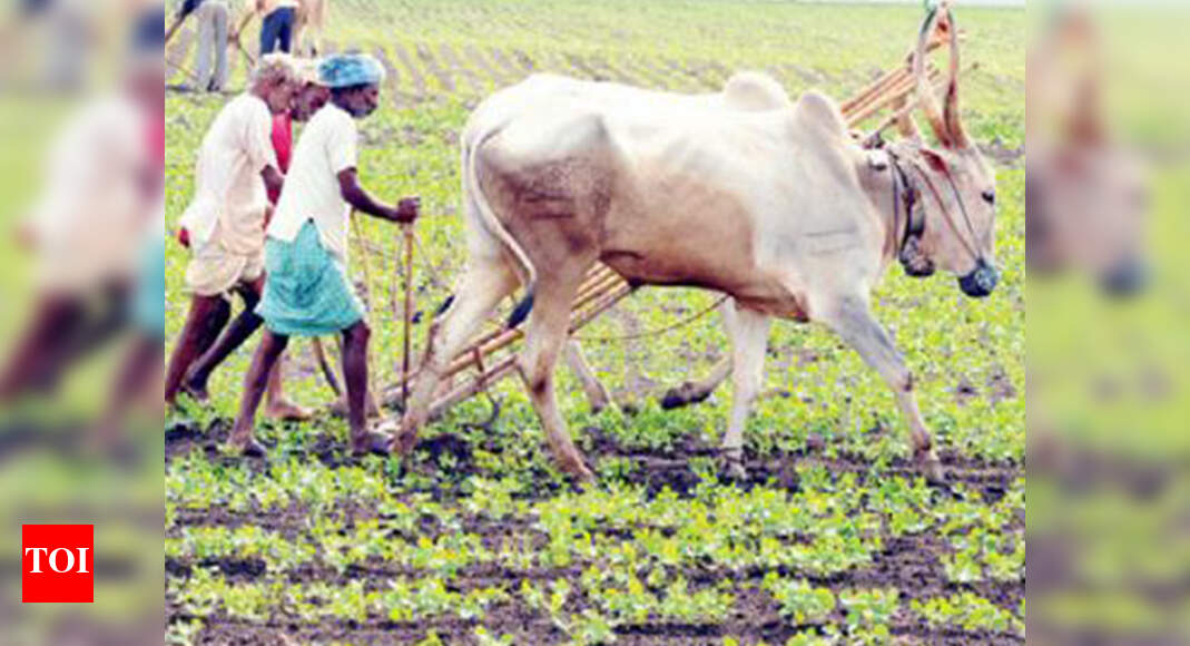 Farm labourer’s interests to be incorporated in agriculture policy ...