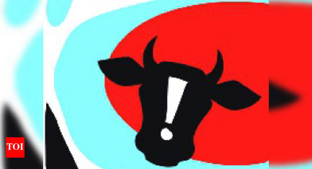 Hindus don’t eat beef, says activist | Goa News - Times of India