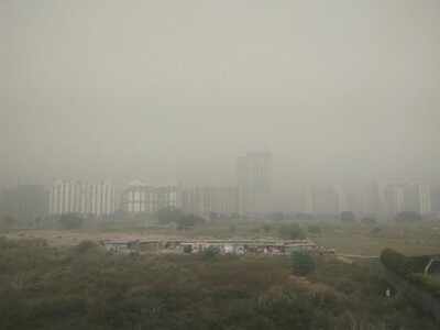 Noida makes plans for ‘dust free’ city | Noida News - Times of India