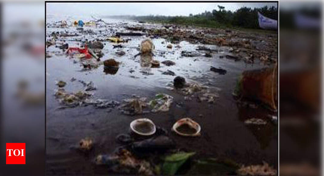 2018: The year of living dangerously | Goa News - Times of India