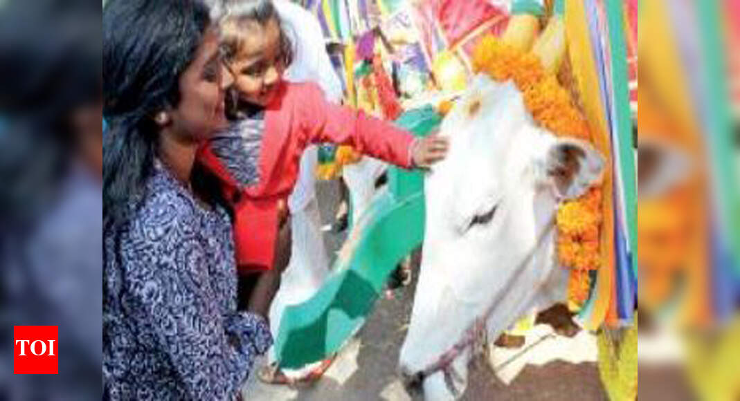 Suggi Huggi: Suggi Huggi fest gives Bengalureans a peek into state’s ...