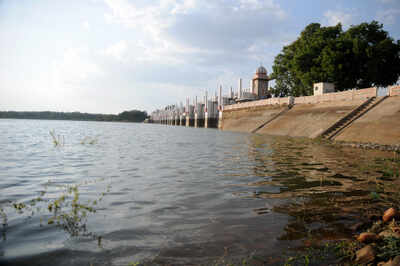Water level in Chennai’s Poondi reservoir goes up 10% in 11 days ...