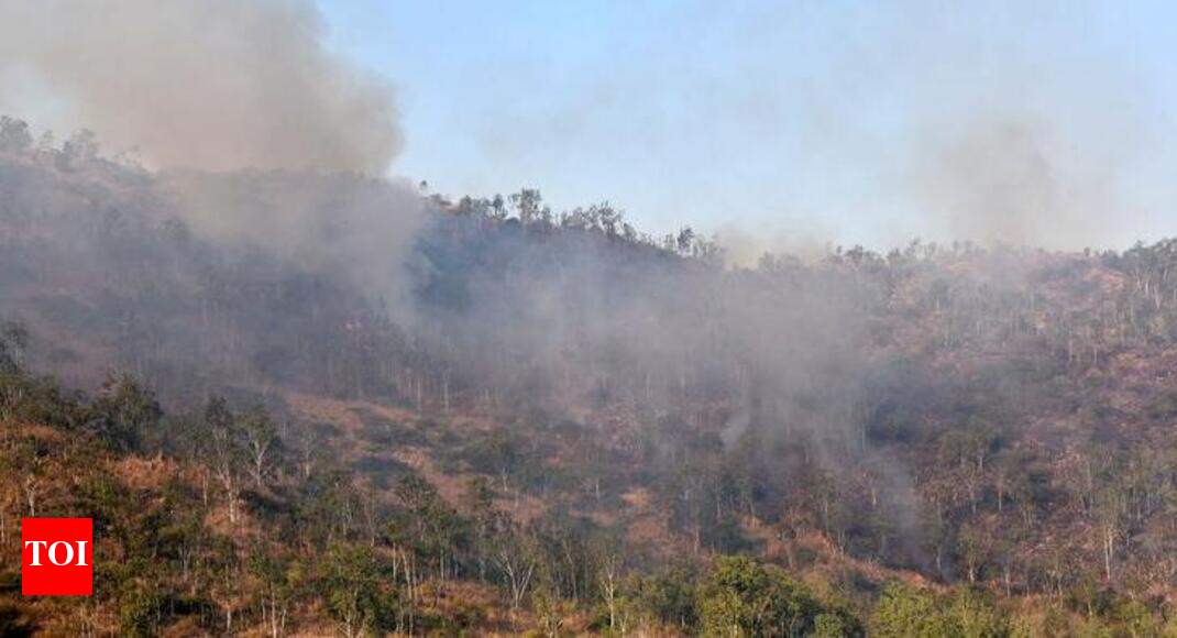 10 acres of forest destroyed in fire | Mysuru News - Times of India