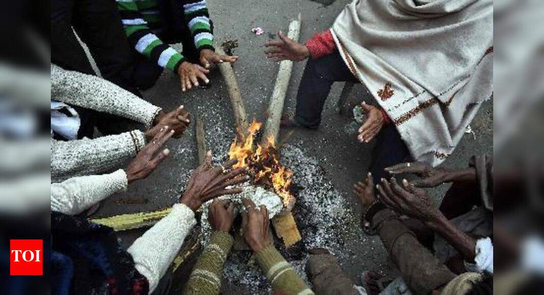 Severe cold conditions in Bihar to continue till Jan 20 | India News ...