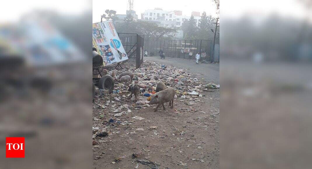 who is the culprit? - Times of India