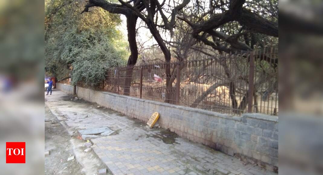 Open-air loo outside Deer Park - Times of India