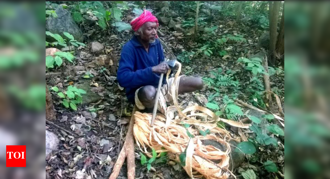 Mankidias Kutia Kondhs: Mankidias, Kutia Kondhs still wait for their ...