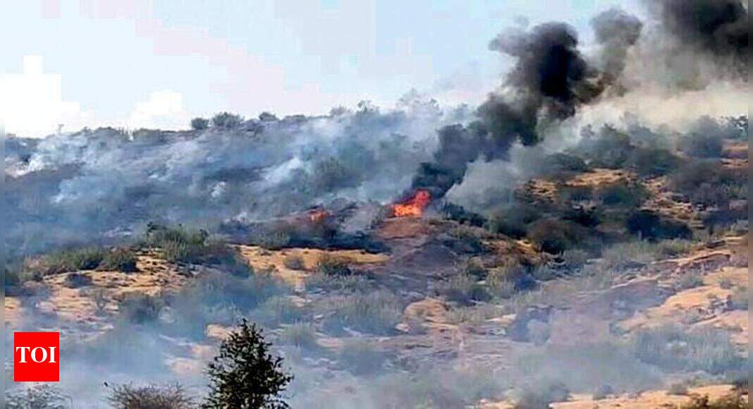 Fire breaks out in forest area near Rajula | Rajkot News - Times of India