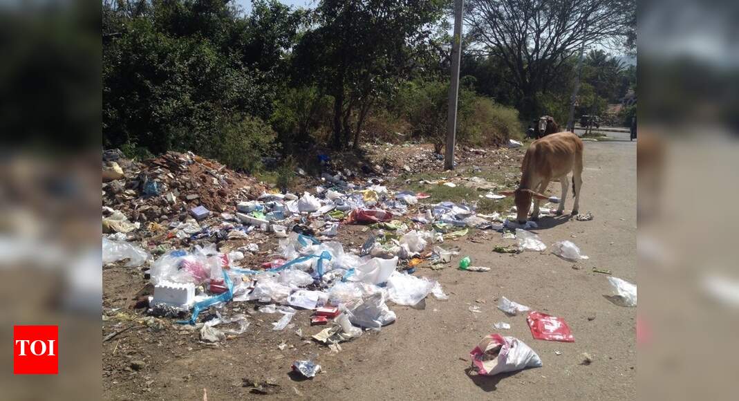 garbage mess - Times of India