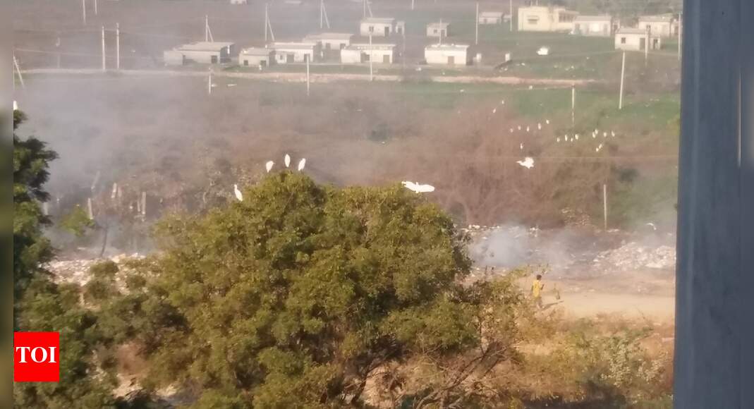 Landscape to dumping yard - Times of India