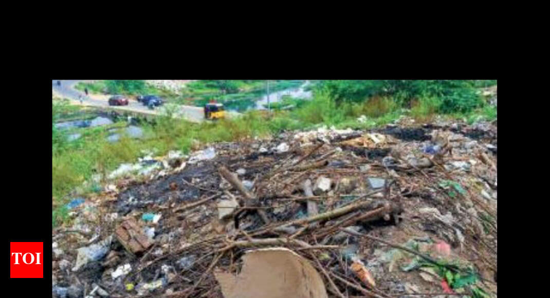 Debris chokes river Cooum as officials turn a blind eye | Chennai News ...