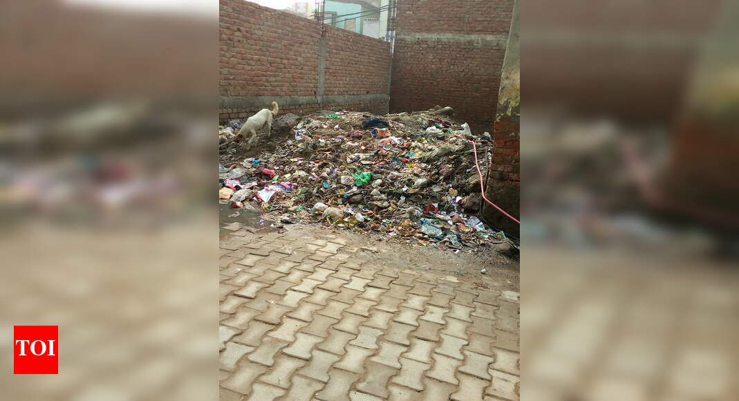 Garbage leads to disease - Times of India