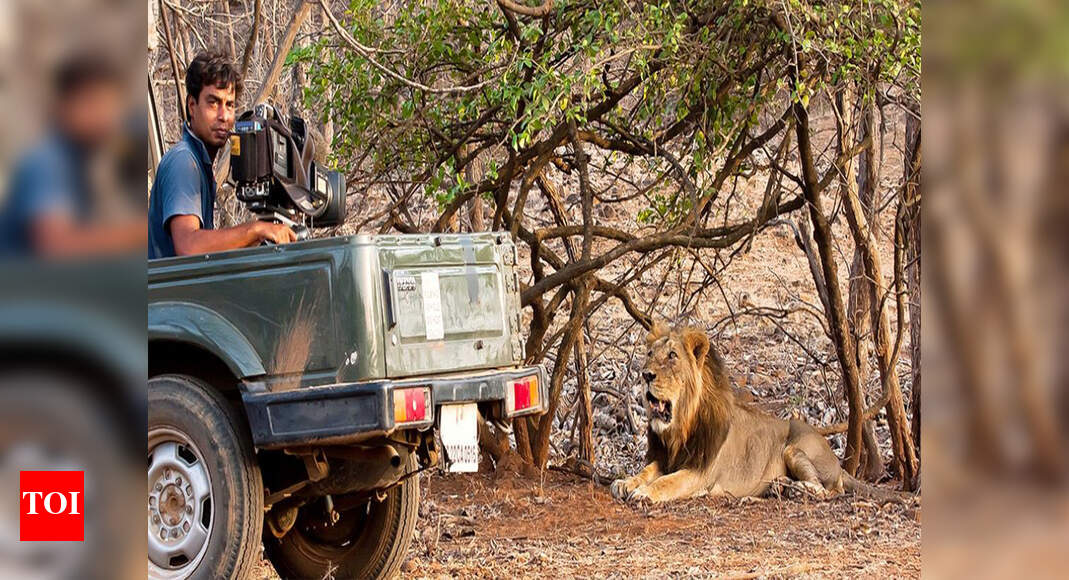 Kankai web page revised, no word on private guides | Ahmedabad News ...