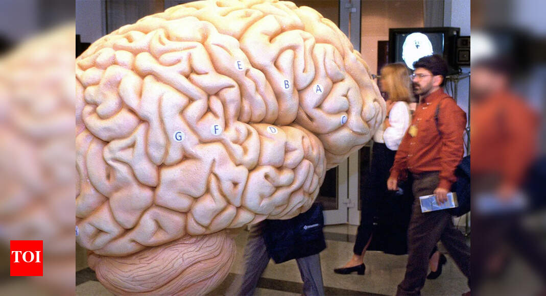 Human Brain Computer: New switch may make computers functions like ...