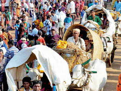 sammakka saralamma jatara - Times of India