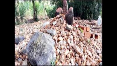 Kotikallina Kaadu Basappa Temple: At this Mandya temple, only stones ...