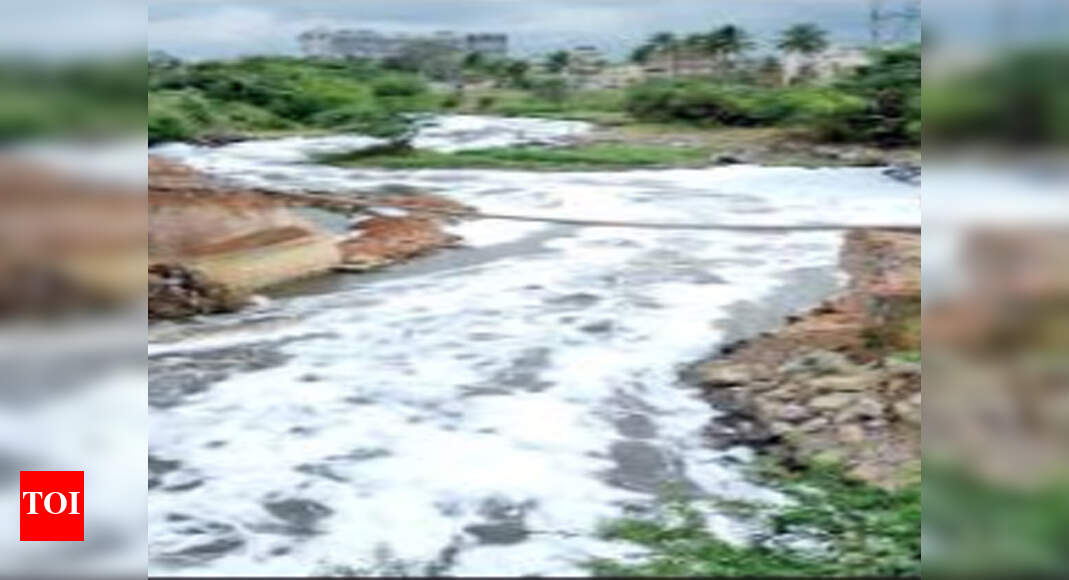 Citizens hope NGT order will give Varthur Lake much-needed attention ...