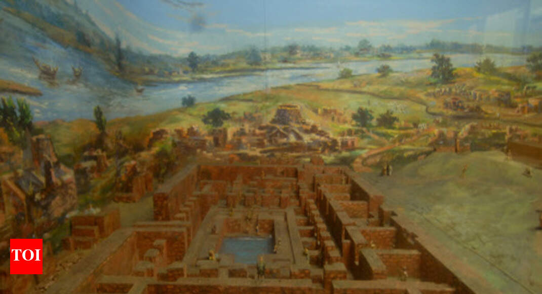 pre-Harappan site: Excavations start at 5,000-year-old pre-Harappan ...
