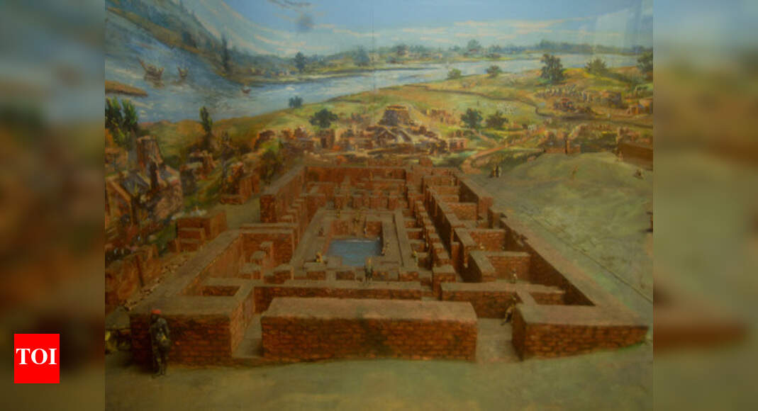 Pre-Harappan Site: Excavations start at 5,000-year-old pre-Harappan ...