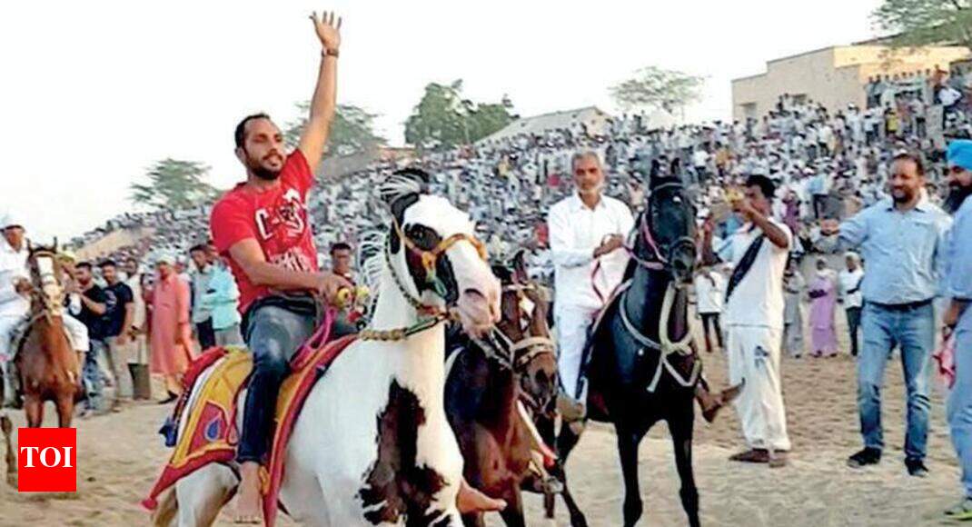 Saqab is not for sale: Saqab is not for sale, even for Rs 2 crore ...