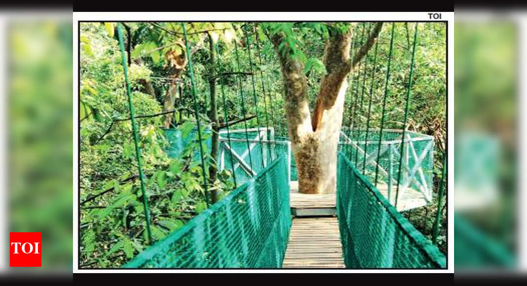 Despite protests, country’s first canopy walk to open on February 18 ...