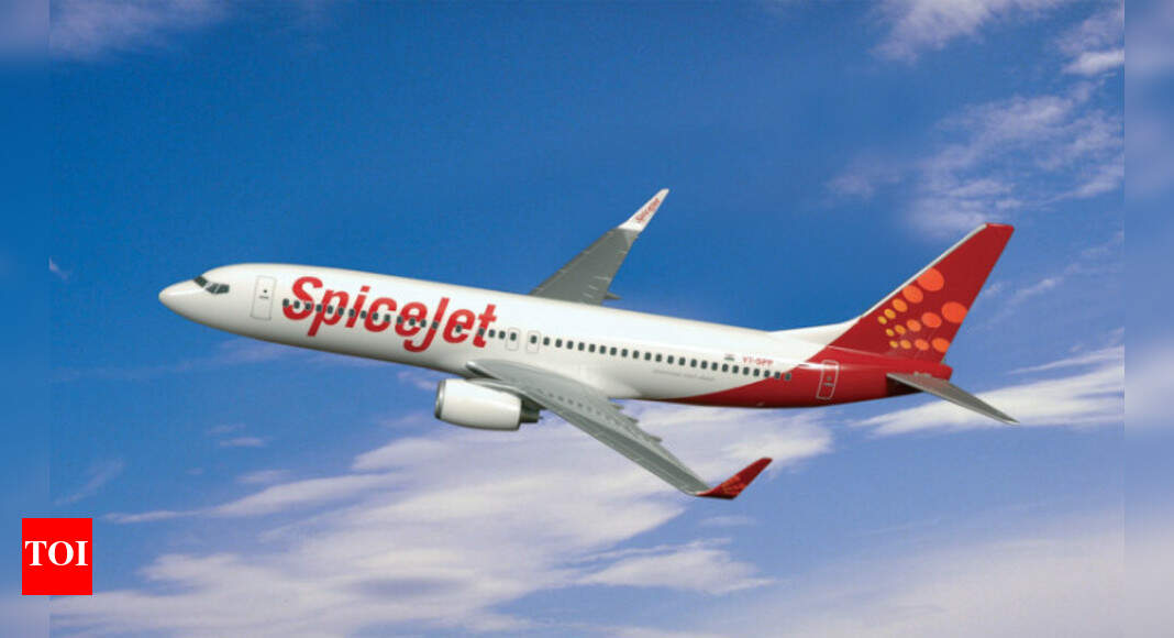 Spicejet Share Price: SpiceJet shares end 4% higher after December ...