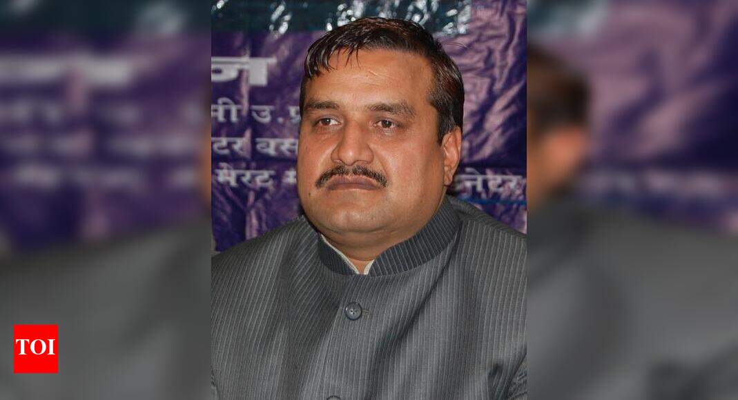 Govt conspiring against Amarpal, says wife | Ghaziabad News - Times of ...