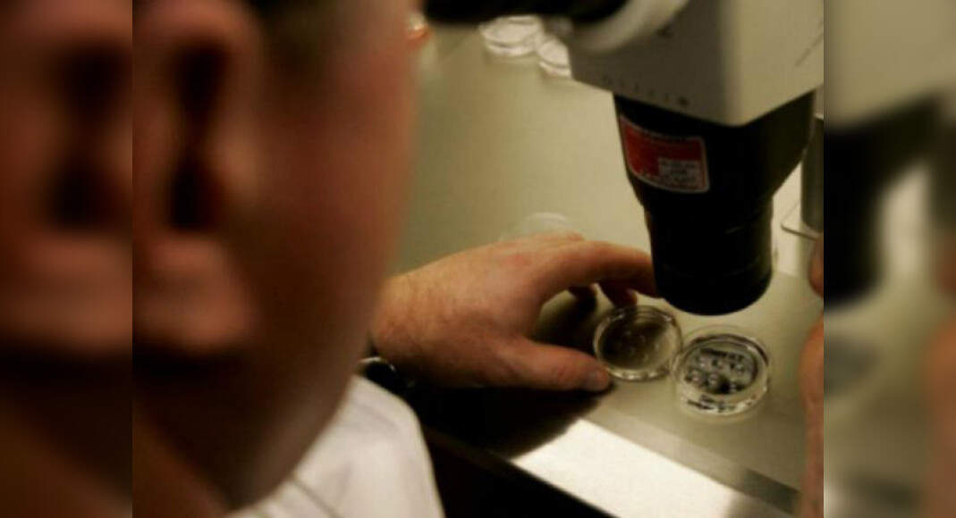 Human eggs have been fully grown in a lab for the first time ever ...