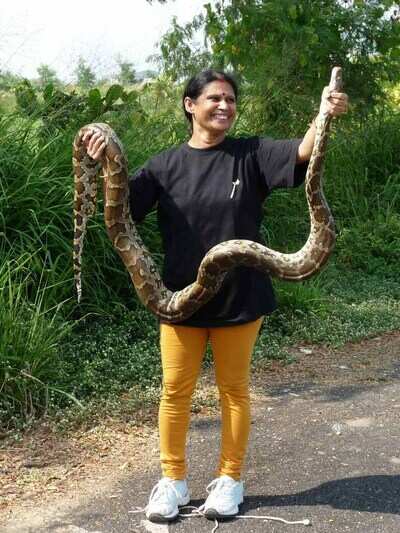 Woman snake rescuer from Kerala: When with Vidya, snakes don’t hiss ...